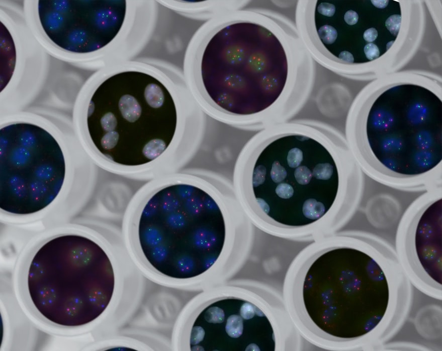 Paris Digital Lab · AI & Genetic Mutation